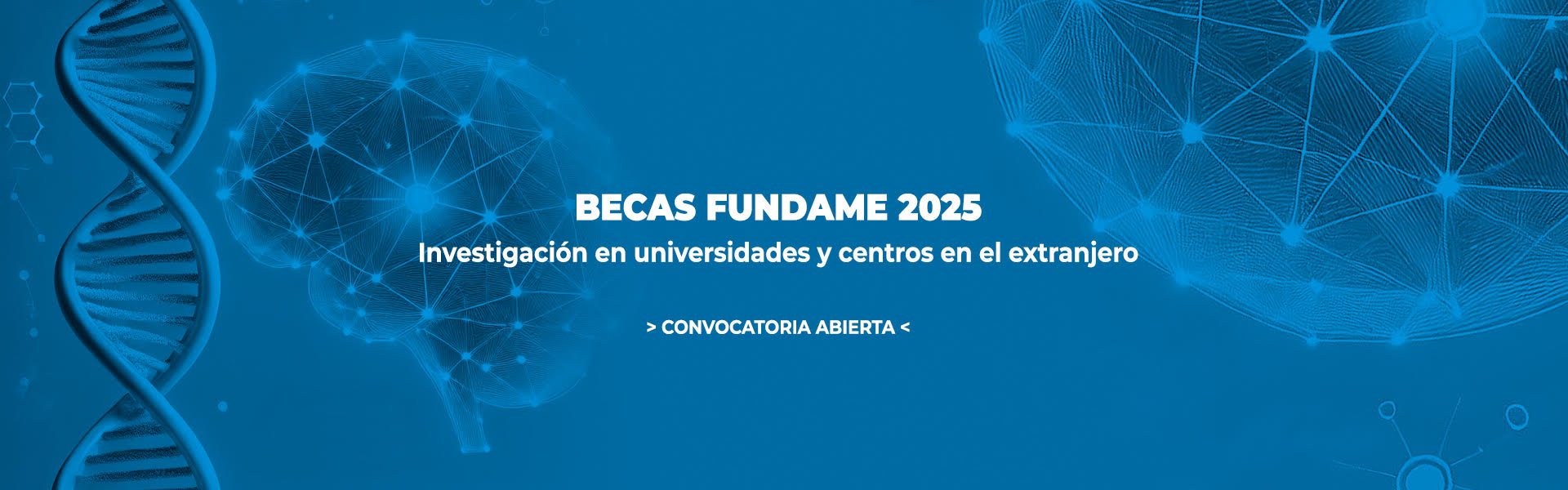 BECAS FUNDAME 2025 · Sociedad Española del Dolor